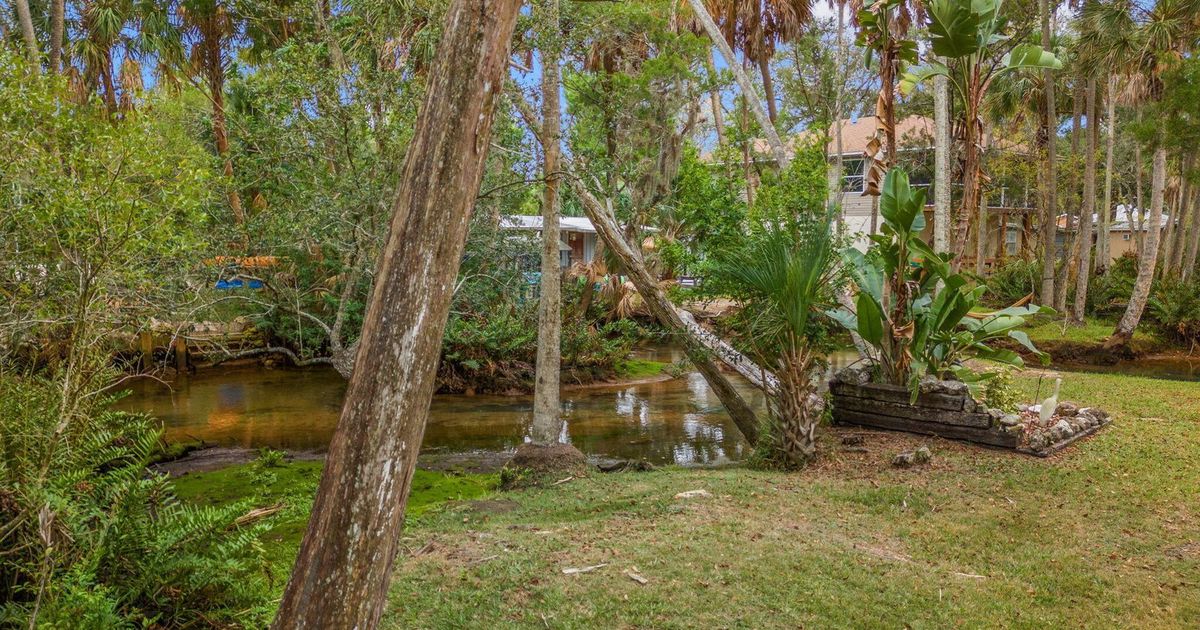 Avenue Of The Palms, Weeki Wachee, FL 34607 | ListReports